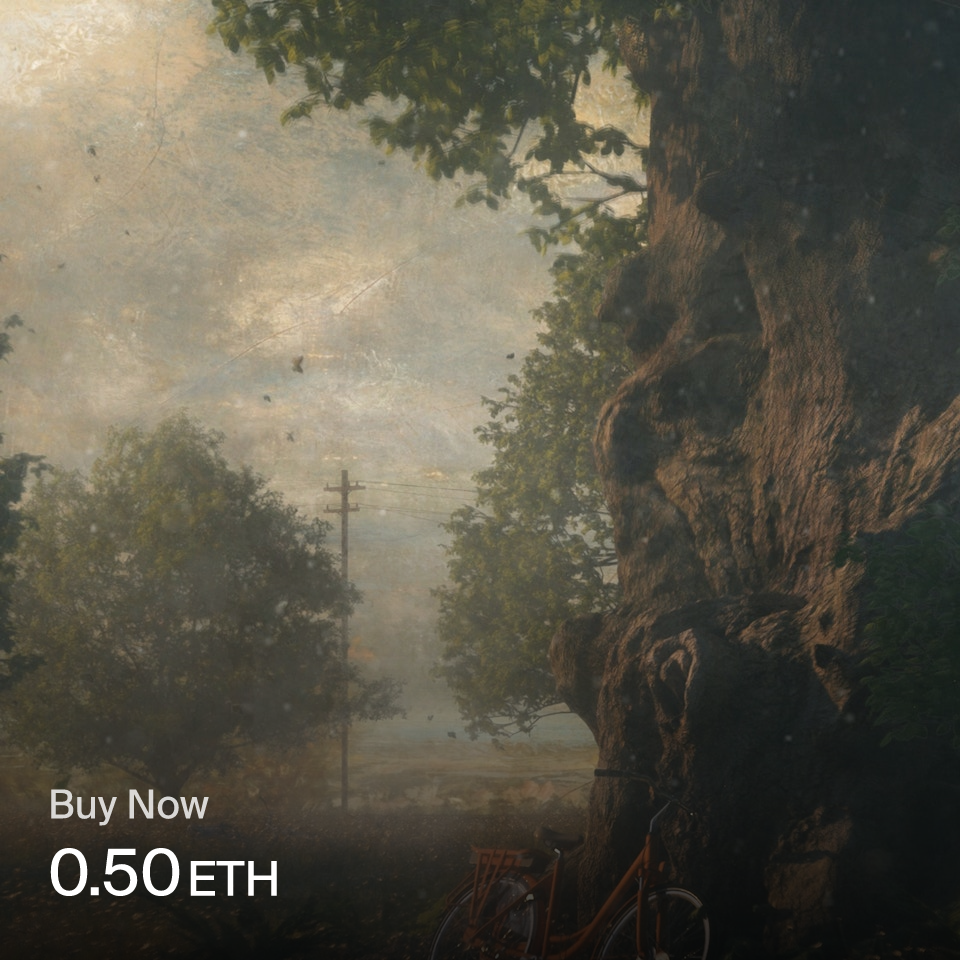 Oak: Re-Trace 01 | Foundation