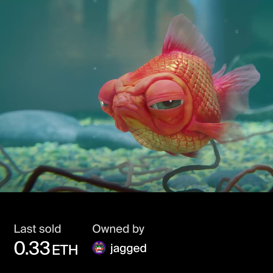 The Grumpy Fish | Foundation