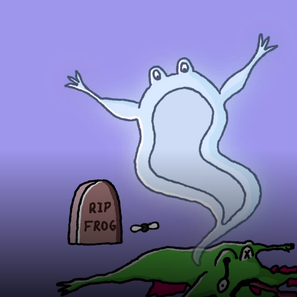 RIP Frog 🪦 | Foundation