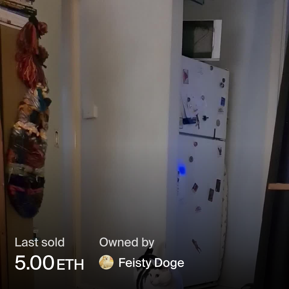 Ben, The Huh Cat | Foundation