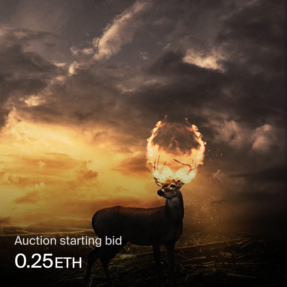 Golden Dear | Foundation