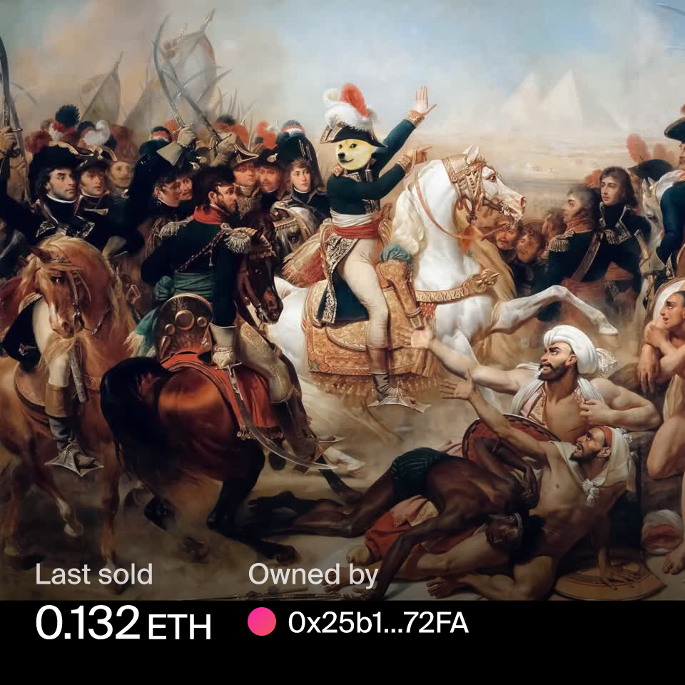 Doge Napoleon at the Battle of the Pyramids | Foundation