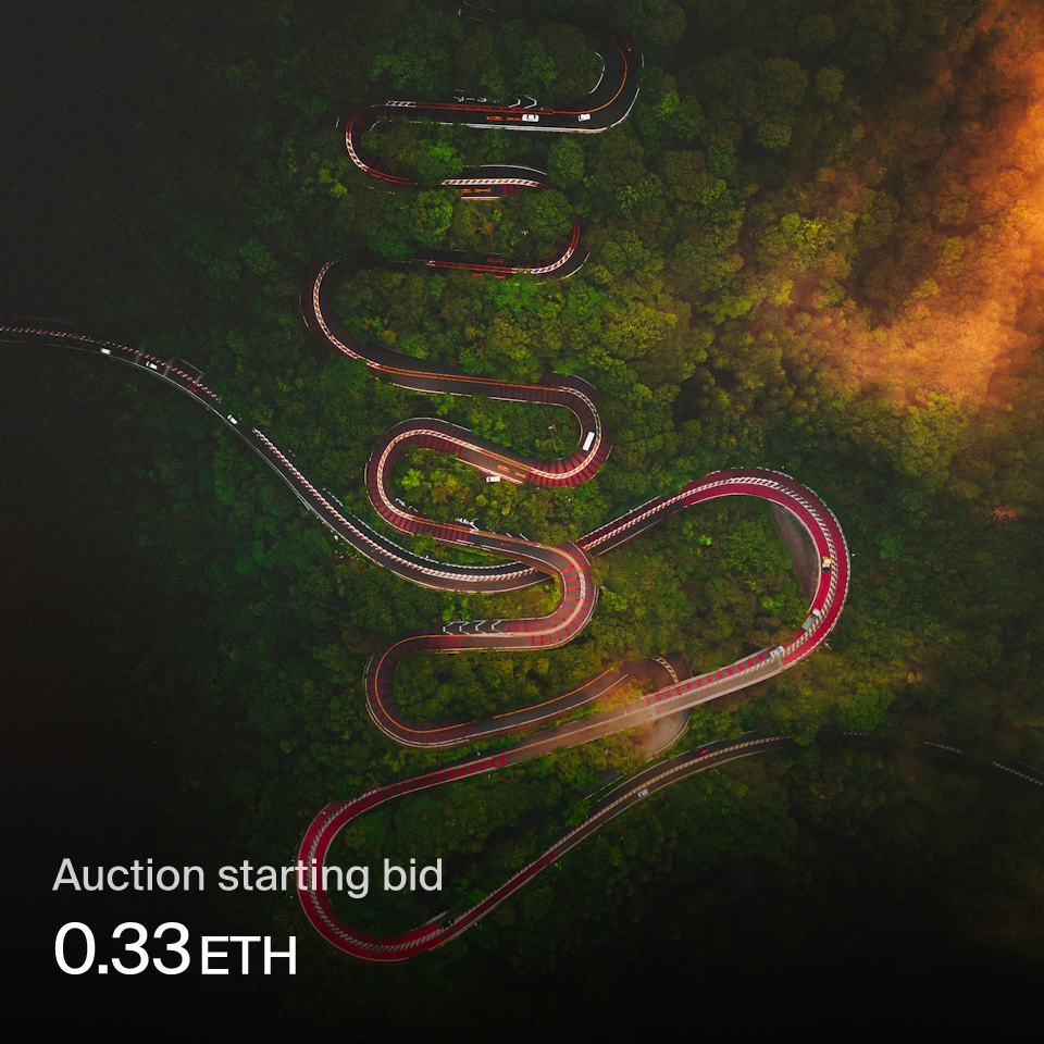 Snake Road | Foundation